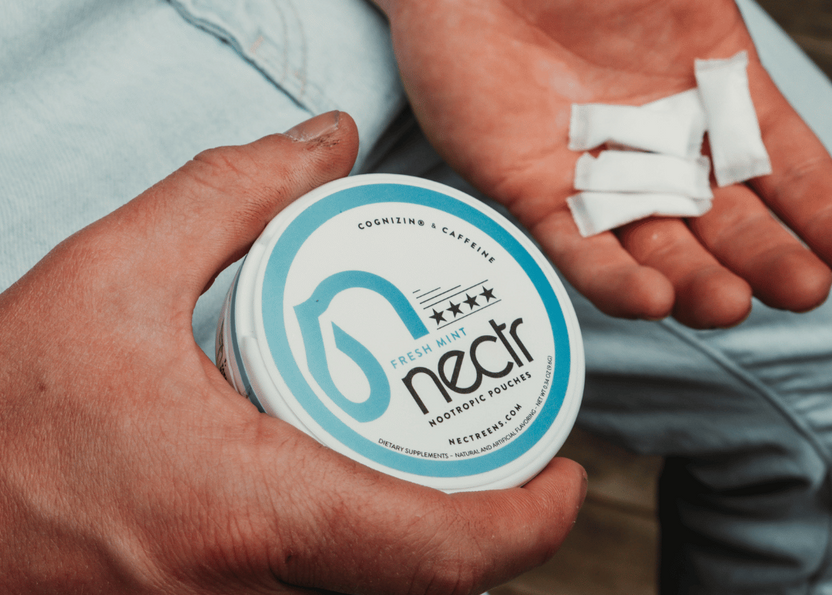 Nectr Energy - Nootropic Energy Pouches – Nectr.Energy